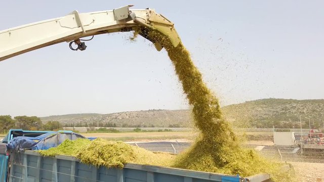 Silage Bilder – Durchsuchen 65,288 Archivfotos, Vektorgrafiken und ...