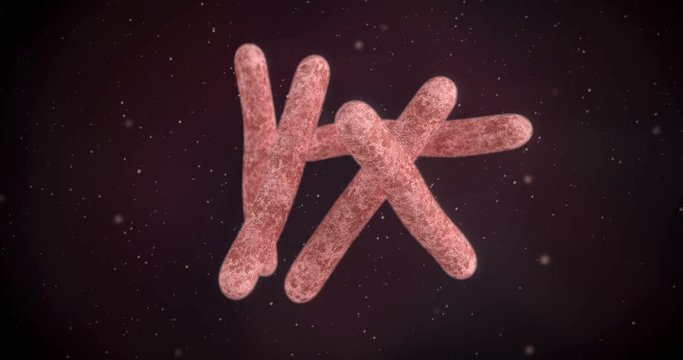 "Mycobacterium Tuberculosis" Images – Browse 1,095 Stock Photos ...