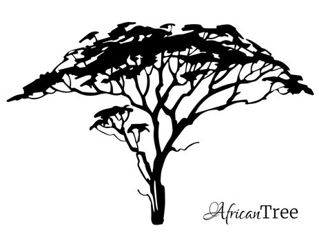 African Tree Silhouette Simple