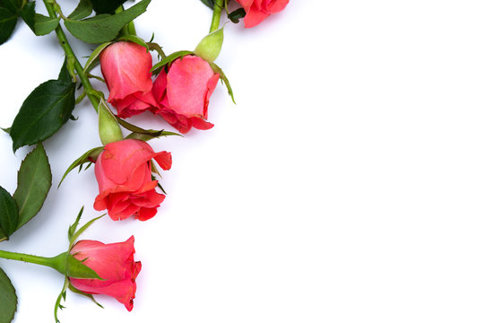 รูปภาพTose – เลือกดูภาพถ่ายสต็อก เวกเตอร์ และวิดีโอ163 | Adobe Stock