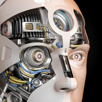 Many Internal Parts Images – Browse 669 Stock Photos, Vectors, and Video | Adobe Stock