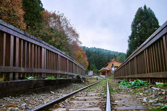 รูปภาพChaoping – เลือกดูภาพถ่ายสต็อก เวกเตอร์ และวิดีโอ97 | Adobe Stock