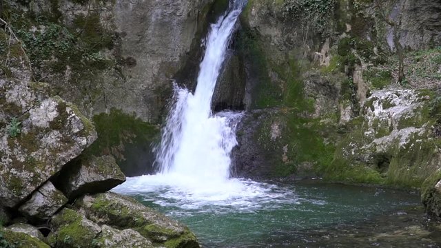 Forra 이미지 – 찾아보기 310 스톡 사진, 벡터 및 비디오 | Adobe Stock