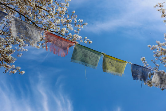 Gedult Bilder – Durchsuchen 314 Archivfotos, Vektorgrafiken und Videos ...