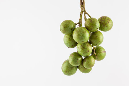 Kinnip Bilder – Durchsuchen 3,314 Archivfotos, Vektorgrafiken und ...