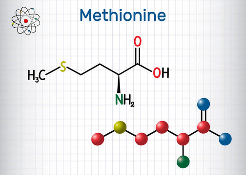 รูปภาพMethionine – เลือกดูภาพถ่ายสต็อก เวกเตอร์ และวิดีโอ12,772 | Adobe ...