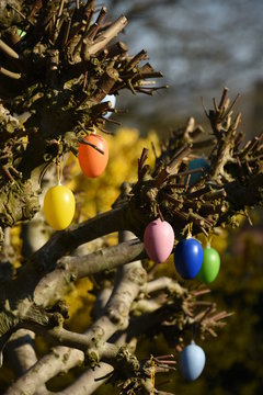 รูปภาพOstereierbaum – เลือกดูภาพถ่ายสต็อก เวกเตอร์ และวิดีโอ104 | Adobe ...