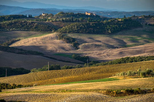 Orchia Bilder – Durchsuchen 97 Archivfotos, Vektorgrafiken und Videos ...