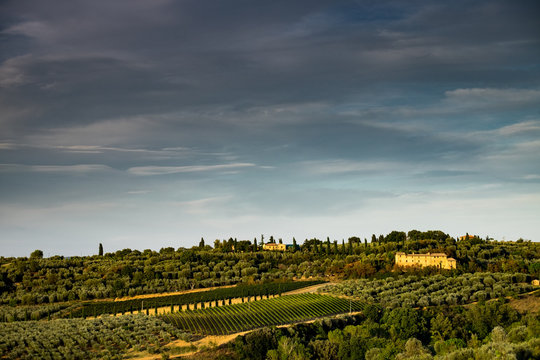 Orchia Bilder – Durchsuchen 97 Archivfotos, Vektorgrafiken und Videos ...