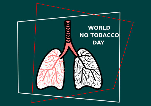 Cigar.lingerie bilder – Bläddra bland 978 stockfoton, vektorer och ...