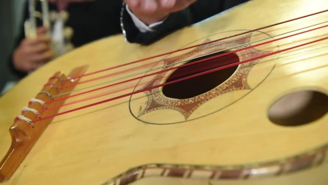 Guitarron 影像 – 瀏覽 120 個素材庫相片、向量圖和影片 | Adobe Stock