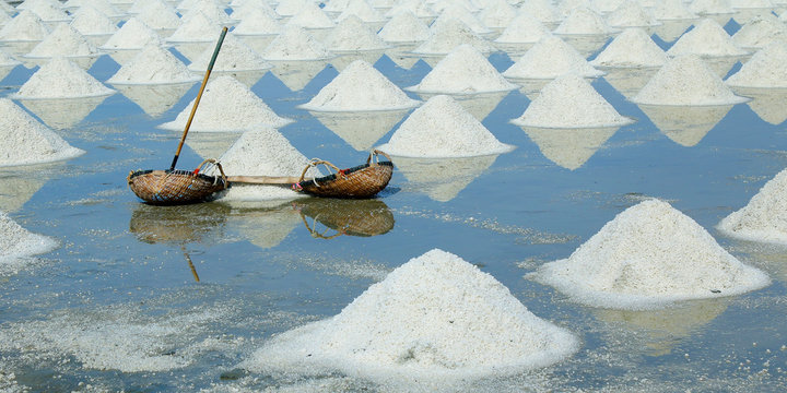 "Salt Farm" Images – Browse 242 Stock Photos, Vectors, and Video ...