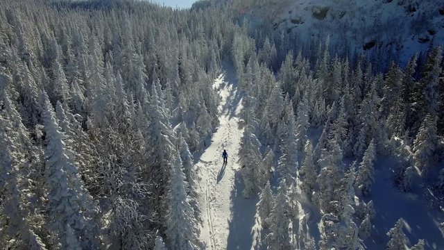 Valin Images – Browse 160 Stock Photos, Vectors, and Video | Adobe Stock