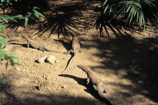 รูปภาพWarane – เลือกดูภาพถ่ายสต็อก เวกเตอร์ และวิดีโอ204 | Adobe Stock