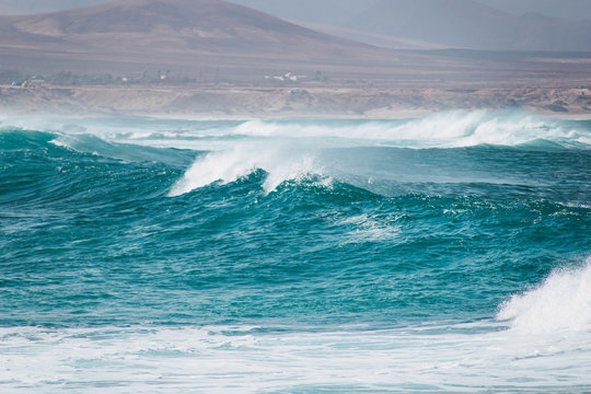 「Hincharse」の写真素材 | 25件の無料イラスト画像 | Adobe Stock