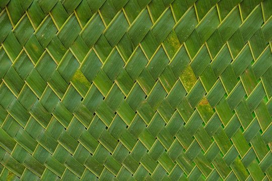 Nipa Bilder – Durchsuchen 2,254 Archivfotos, Vektorgrafiken und Videos ...