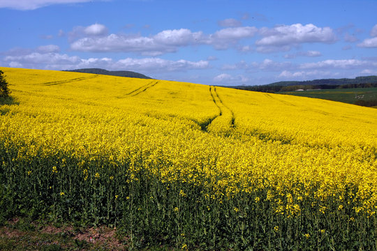 รูปภาพRapssaat – เลือกดูภาพถ่ายสต็อก เวกเตอร์ และวิดีโอ93 | Adobe Stock