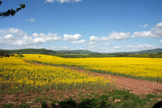 รูปภาพRapssaat – เลือกดูภาพถ่ายสต็อก เวกเตอร์ และวิดีโอ93 | Adobe Stock
