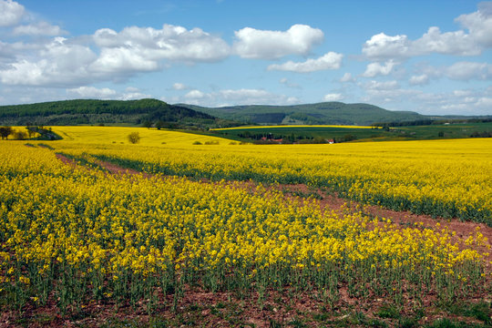 รูปภาพRapssaat – เลือกดูภาพถ่ายสต็อก เวกเตอร์ และวิดีโอ93 | Adobe Stock