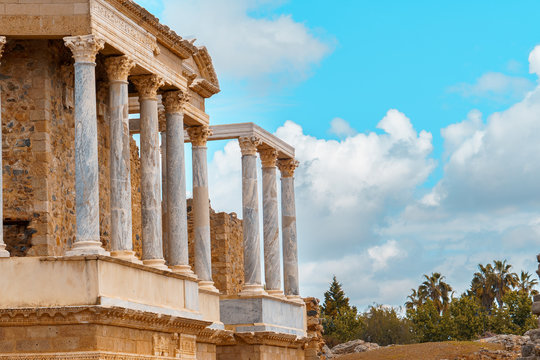 รูปภาพFrons – เลือกดูภาพถ่ายสต็อก เวกเตอร์ และวิดีโอ3,795 | Adobe Stock