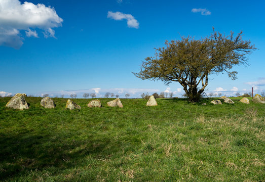 รูปภาพNobbin – เลือกดูภาพถ่ายสต็อก เวกเตอร์ และวิดีโอ73 | Adobe Stock