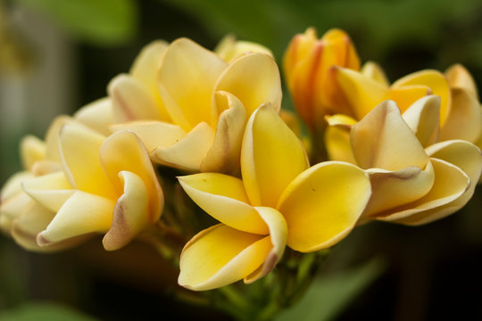 รูปภาพSacuanjoche – เลือกดูภาพถ่ายสต็อก เวกเตอร์ และวิดีโอ119,684 ...