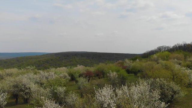 Codri-Bilder: Stock-Fotos & -Videos. | Adobe Stock