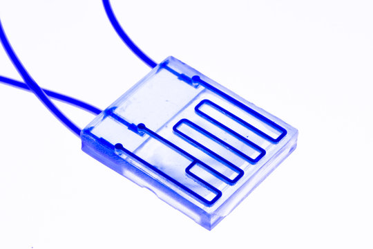 Ooc Images – Browse 223 Stock Photos, Vectors, and Video | Adobe Stock