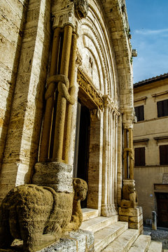 Orchia Bilder – Durchsuchen 97 Archivfotos, Vektorgrafiken und Videos ...