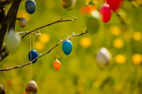 Ostereierbaum Bilder – Durchsuchen 23,299 Archivfotos, Vektorgrafiken ...