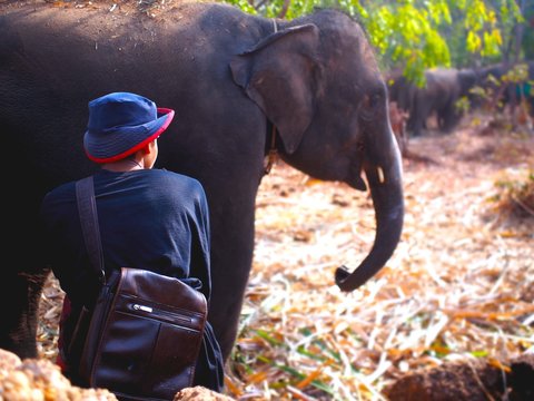 Mahout Images – Browse 3,618 Stock Photos, Vectors, and Video | Adobe Stock