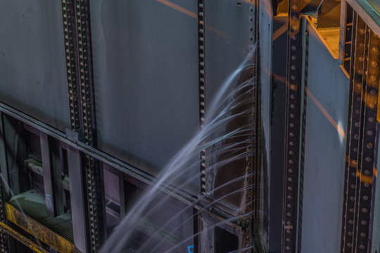 Gelse Bilder – Durchsuchen 572 Archivfotos, Vektorgrafiken und Videos ...