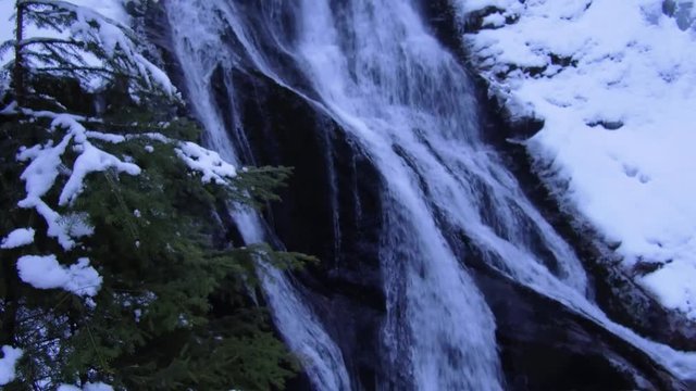 Rachitele Images – Browse 60 Stock Photos, Vectors, and Video | Adobe Stock