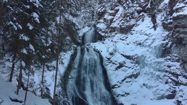 Rachitele Images – Browse 60 Stock Photos, Vectors, and Video | Adobe Stock