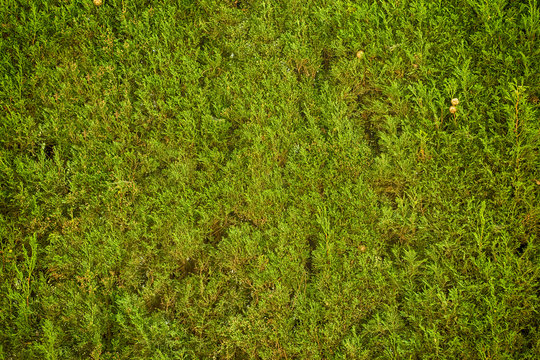 รูปภาพMatojo – เลือกดูภาพถ่ายสต็อก เวกเตอร์ และวิดีโอ163 | Adobe Stock