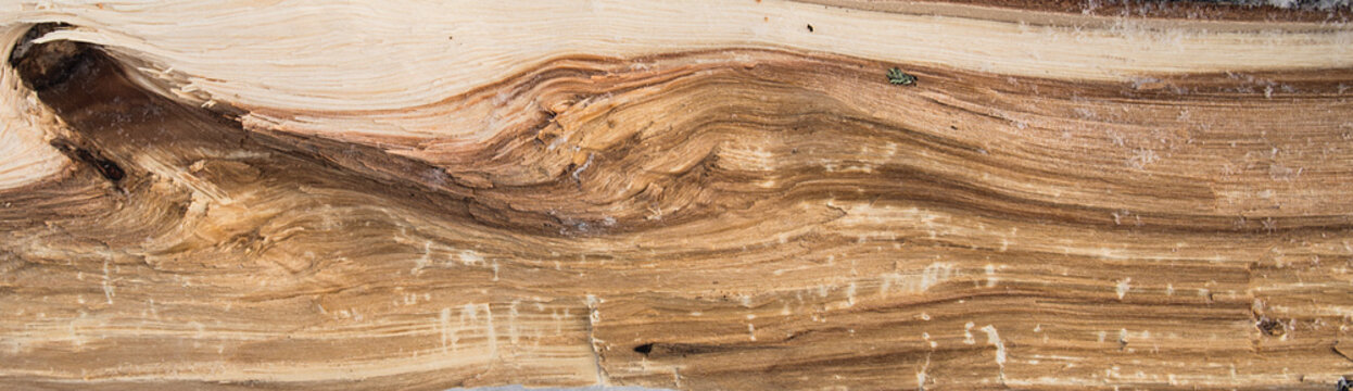 Holzsplitter Bilder – Durchsuchen 16,555 Archivfotos, Vektorgrafiken ...