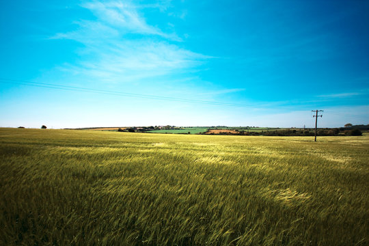 Pgoto Images – Browse 43 Stock Photos, Vectors, and Video | Adobe Stock