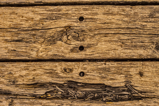 รูปภาพMatojo – เลือกดูภาพถ่ายสต็อก เวกเตอร์ และวิดีโอ163 | Adobe Stock