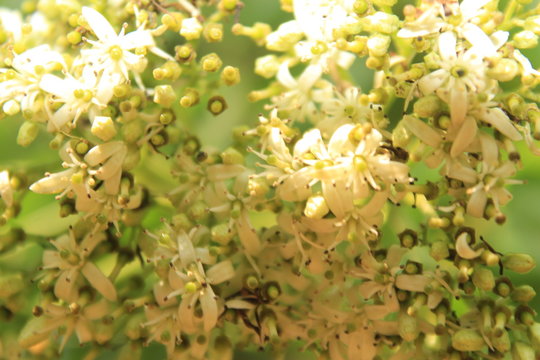 รูปภาพKadi – เลือกดูภาพถ่ายสต็อก เวกเตอร์ และวิดีโอ1,138 | Adobe Stock