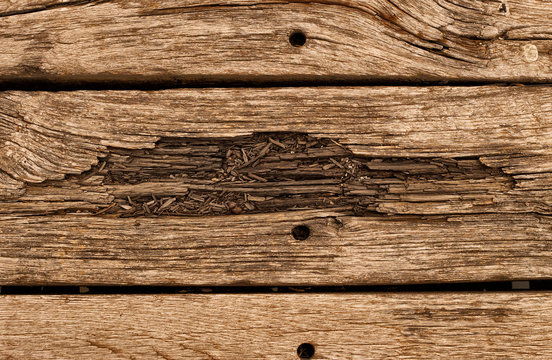 รูปภาพMatojo – เลือกดูภาพถ่ายสต็อก เวกเตอร์ และวิดีโอ163 | Adobe Stock