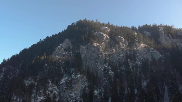 Rachitele Images – Browse 60 Stock Photos, Vectors, and Video | Adobe Stock