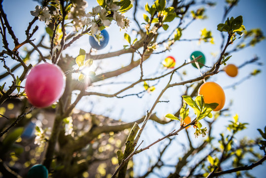 DIE 14,756 BESTEN BILDER, STOCK-FOTOS UND -VEKTORGRAFIKEN ZU ...