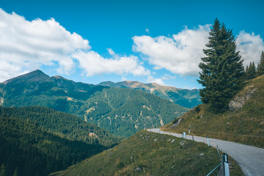 รูปภาพSerpentyna – เลือกดูภาพถ่ายสต็อก เวกเตอร์ และวิดีโอ176 | Adobe Stock