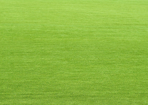 Repeating Grass Texture Images – Browse 18,331 Stock Photos, Vectors ...