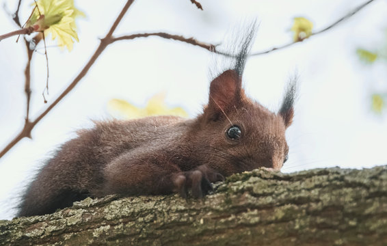 Discreet Images – Parcourir 18,782 le catalogue de photos, vecteurs et ...