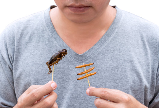 รูปภาพOmphisa – เลือกดูภาพถ่ายสต็อก เวกเตอร์ และวิดีโอ126 | Adobe Stock