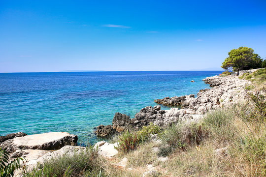 รูปภาพFll – เลือกดูภาพถ่ายสต็อก เวกเตอร์ และวิดีโอ1,978 | Adobe Stock