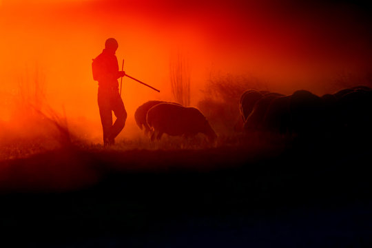 Shepherd Images – Browse 379,263 Stock Photos, Vectors, and Video ...