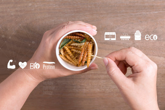รูปภาพOmphisa – เลือกดูภาพถ่ายสต็อก เวกเตอร์ และวิดีโอ126 | Adobe Stock