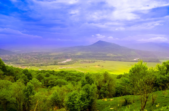รูปภาพBioreserve – เลือกดูภาพถ่ายสต็อก เวกเตอร์ และวิดีโอ490,860 ...